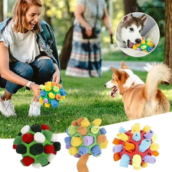 SuperBall™ Snuffle Dog Toy – Melbourne's Finest